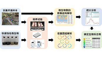 科学研究 - JAMSTEC着手开发微生物腐蚀诊断技术，为每年6.6万亿日元损失做出对策 - 客观日本