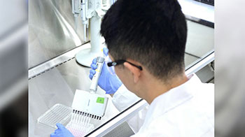 科学研究 - 东京大学发现类固醇可增强OPDIVO等癌症免疫药物疗效 - 客观日本